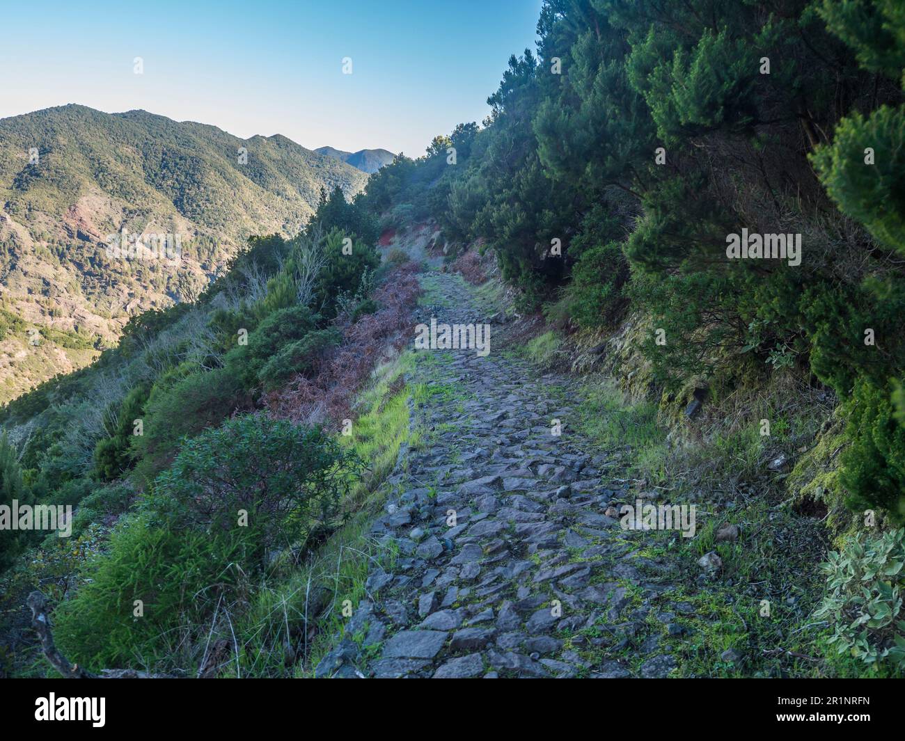 Old stone road, footpath at scenic green rocky landscape in Garajonay ...