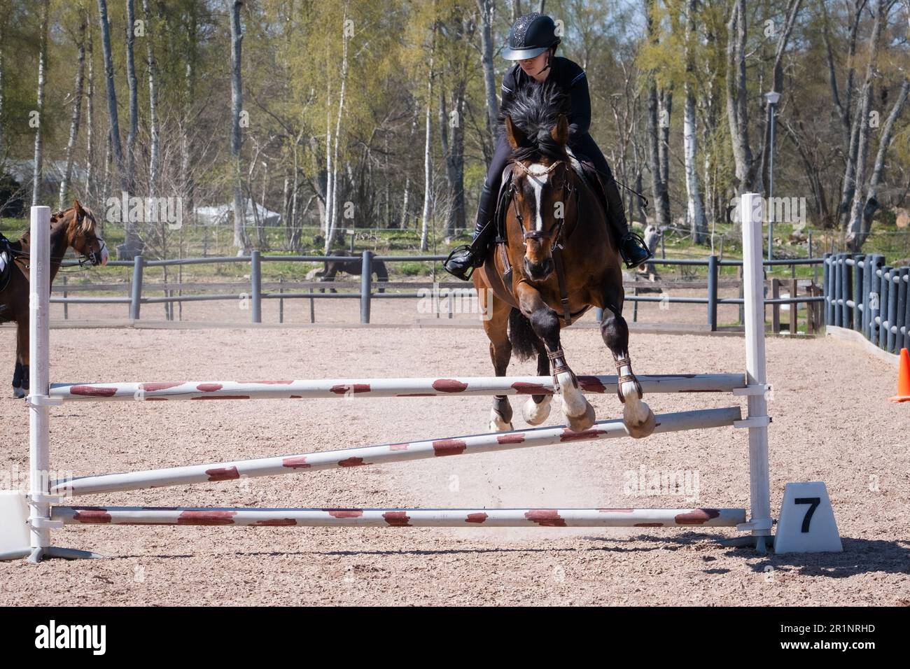 SHOW JUMPING, LOCAL EVENT, ACTION: A local Invitational Show Jumping Equestrian Event at ...
