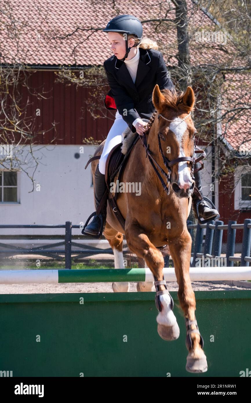 SHOW JUMPING, LOCAL EVENT, ACTION: A local Invitational Show Jumping ...
