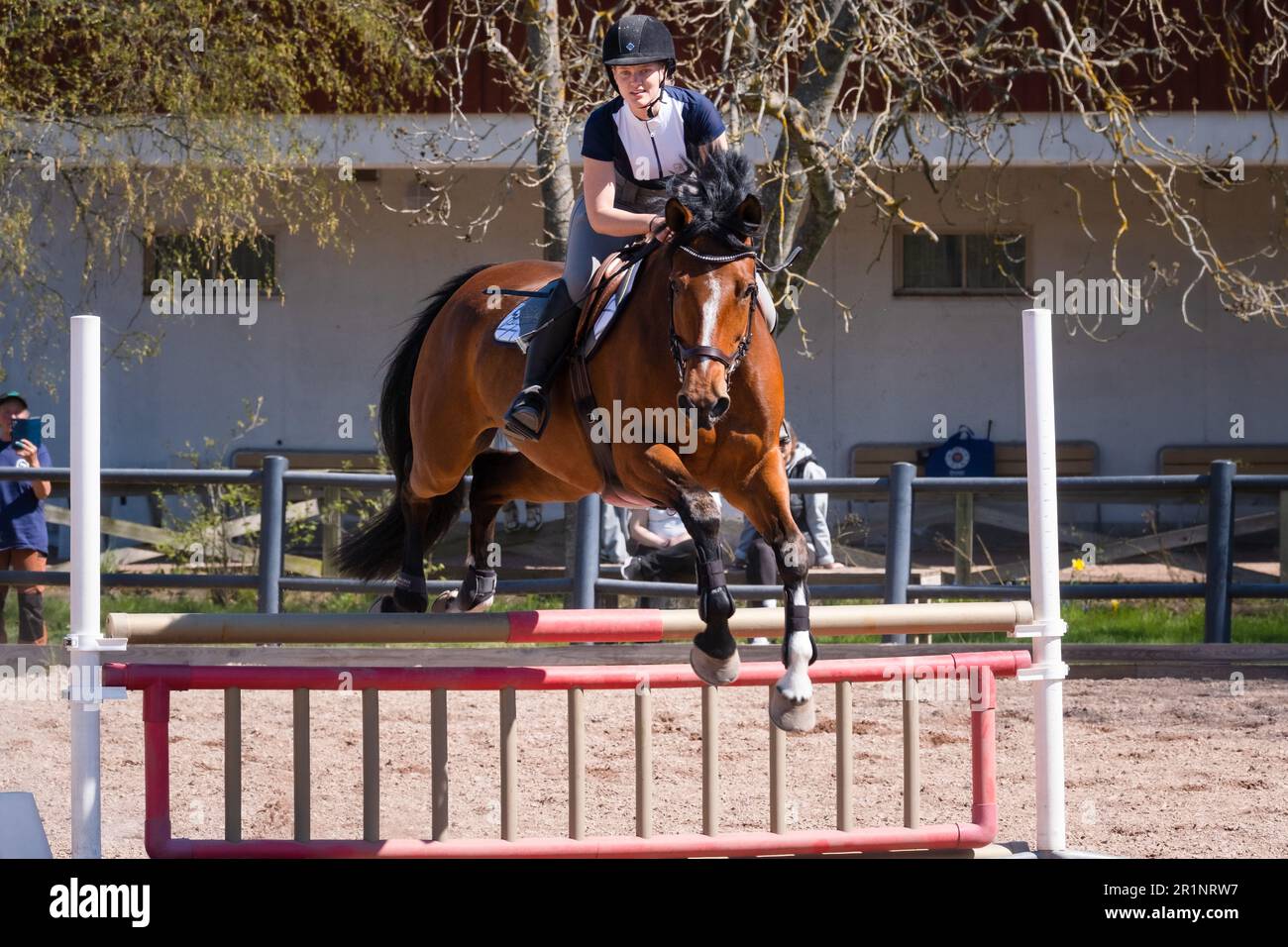 SHOW JUMPING, LOCAL EVENT, ACTION: A local Invitational Show Jumping Equestrian Event at ...