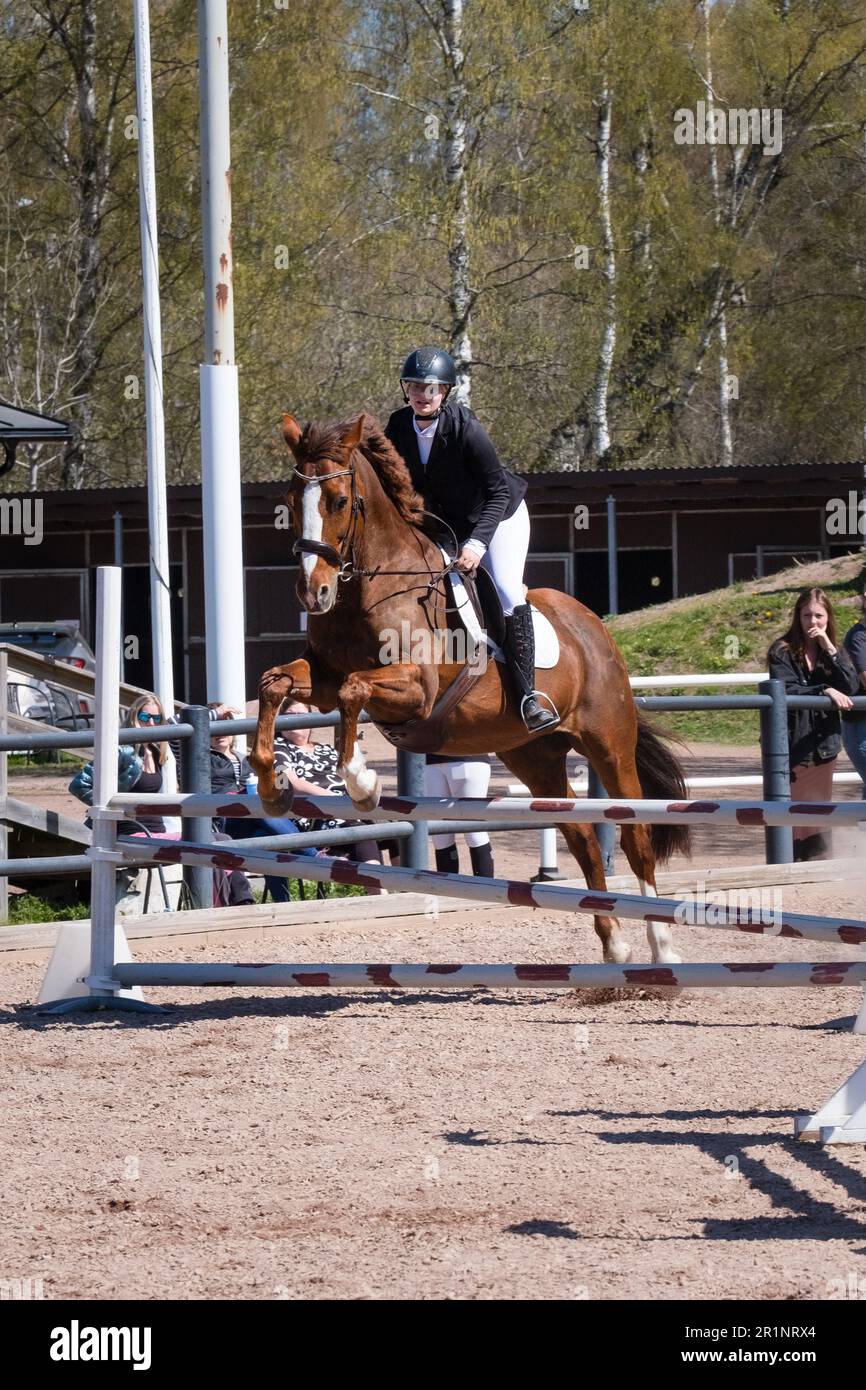 SHOW JUMPING, LOCAL EVENT, ACTION: A local Invitational Show Jumping ...