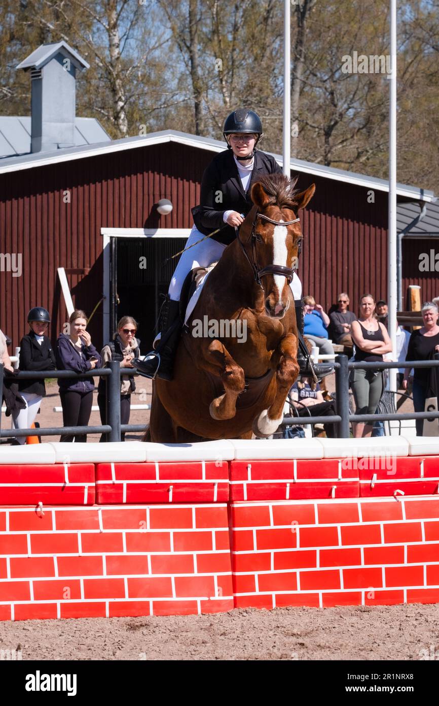 SHOW JUMPING, LOCAL EVENT, ACTION: A local Invitational Show Jumping Equestrian Event at ...