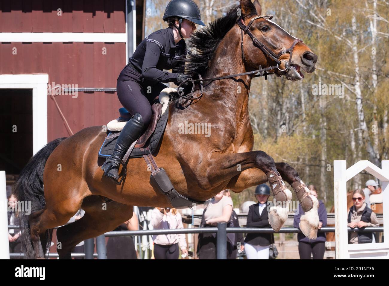 SHOW JUMPING, LOCAL EVENT, ACTION: A local Invitational Show Jumping Equestrian Event at ...