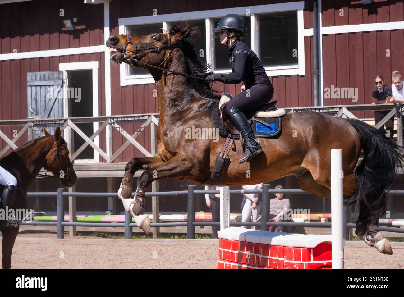 SHOW JUMPING, LOCAL EVENT, ACTION: A local Invitational Show Jumping Equestrian Event at ...