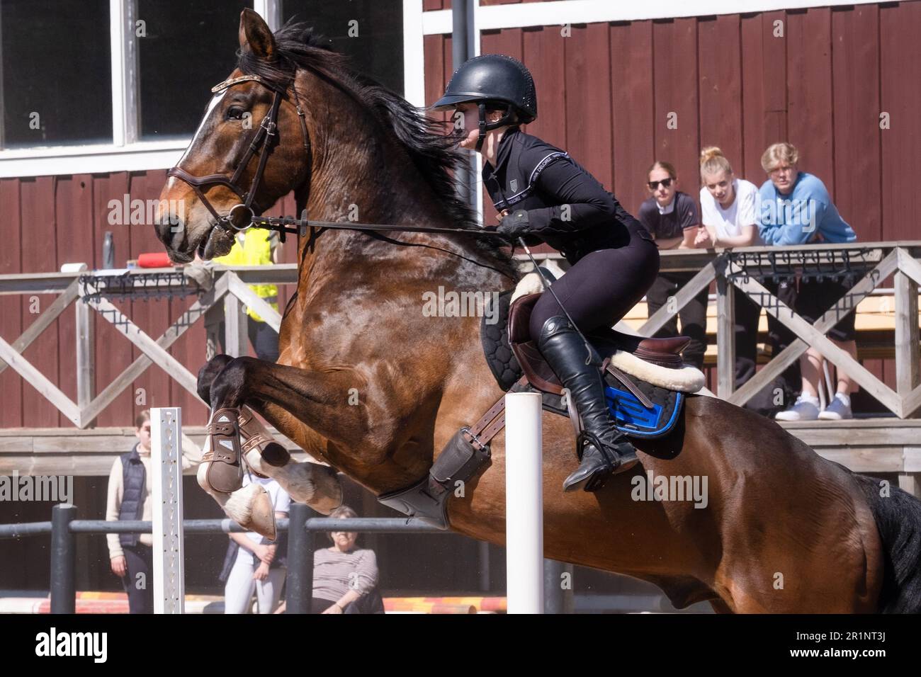 SHOW JUMPING, LOCAL EVENT, ACTION: A local Invitational Show Jumping Equestrian Event at ...