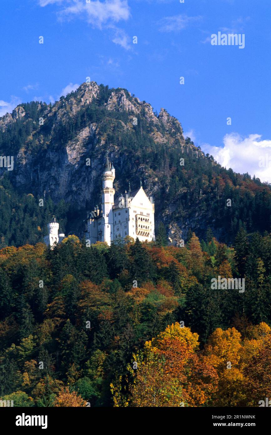 Neuschwanstein Castle Nestled in the Bavarian Alps Fussen Germany Stock ...