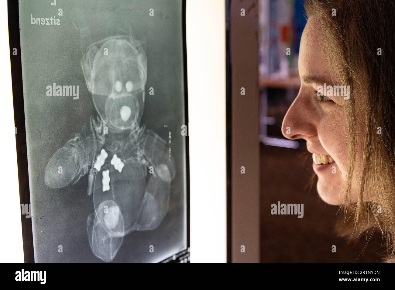15 May 2023, Lower Saxony, Göttingen: A helper looks at an X-ray with a ...