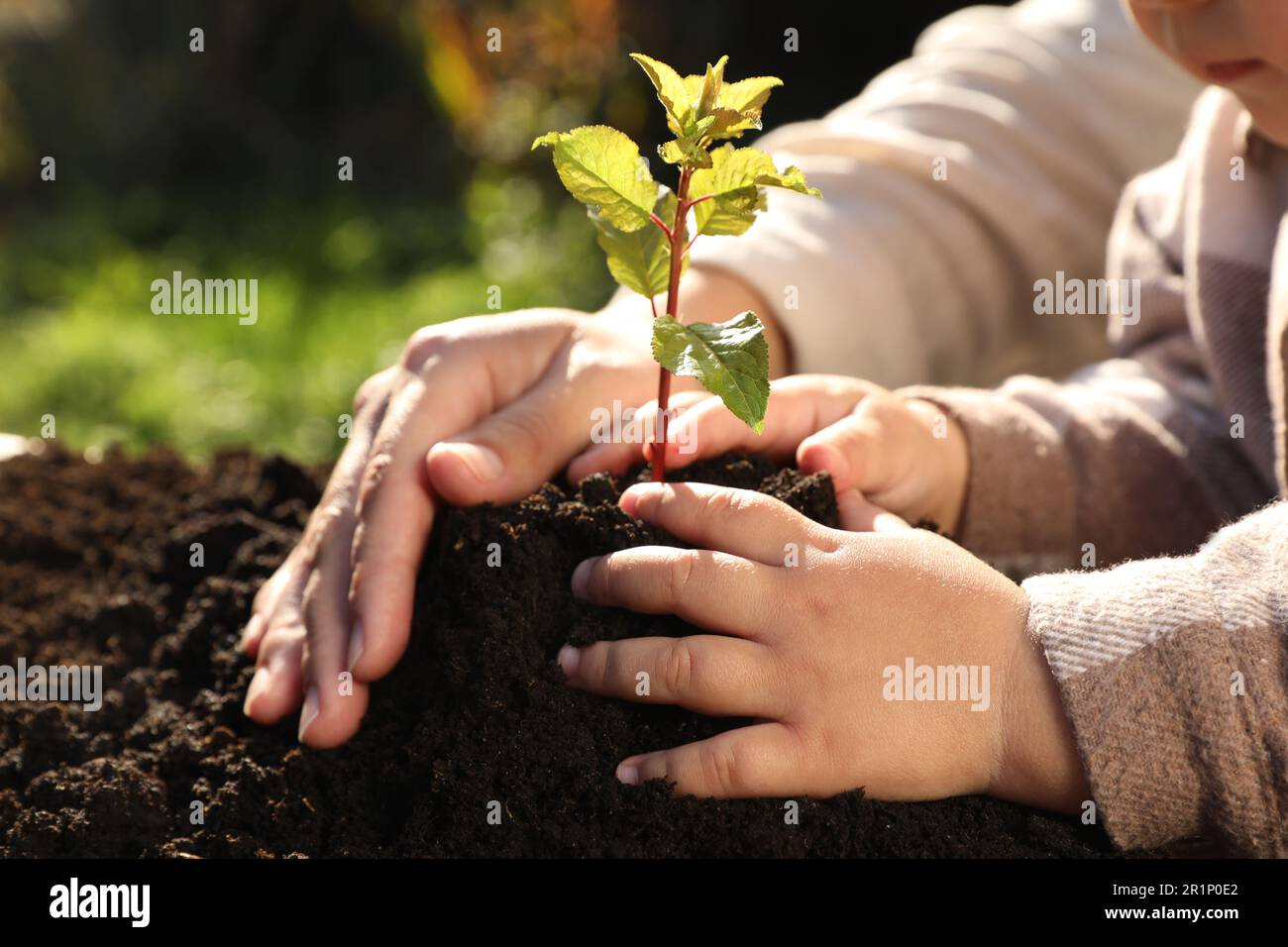 Mother and daughter planting young tree in garden, closeup Stock Photo ...