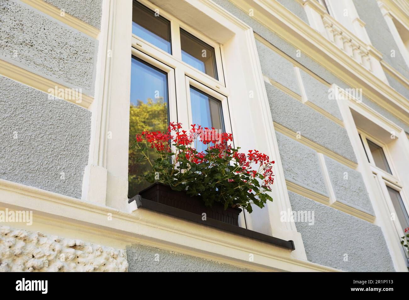Low angle view of flower box on window sill outdoors Stock Photo - Alamy