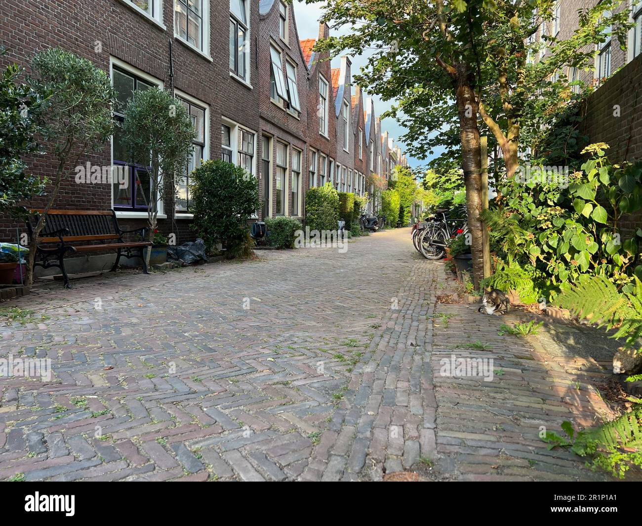 City street with beautiful buildings, bench and plants Stock Photo - Alamy