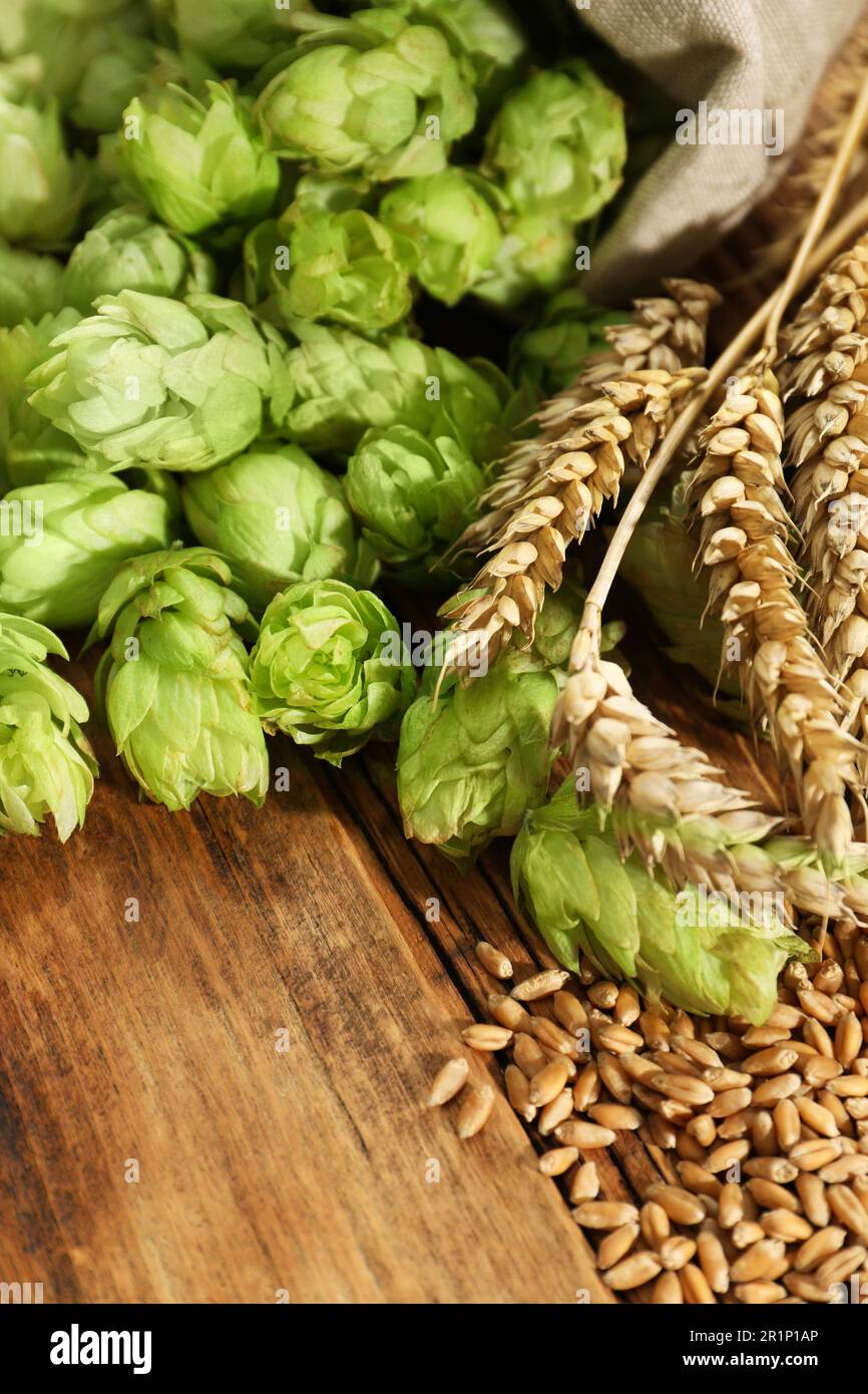 Fresh green hops, wheat grains and spikes on wooden table, closeup ...