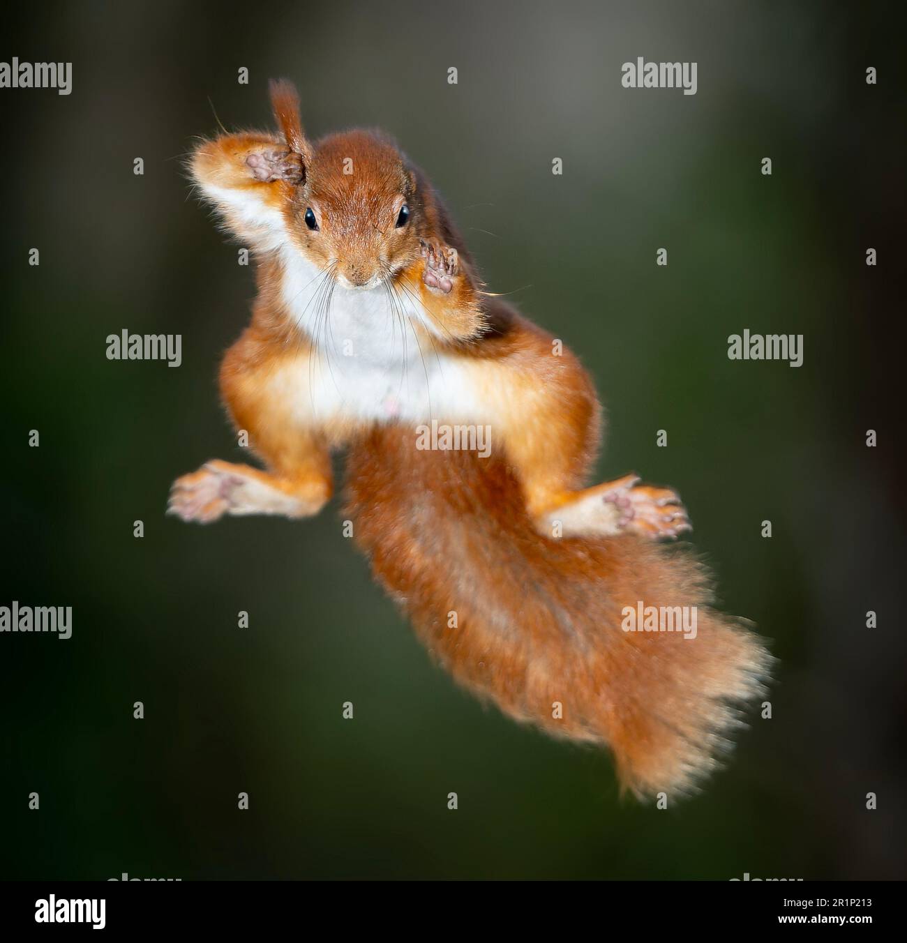 Bond images hi-res stock photography and images - Alamy