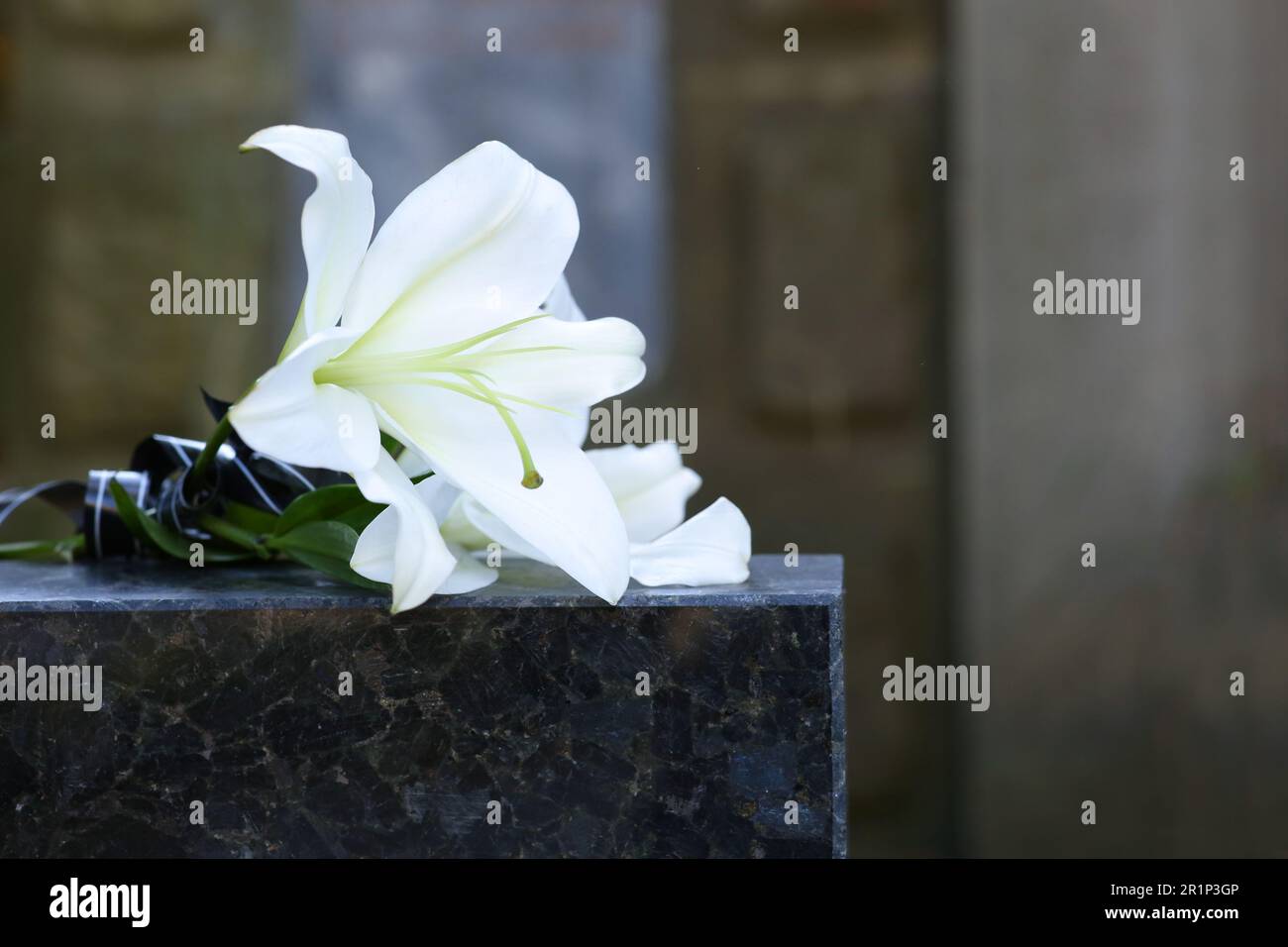White lilies on granite tombstone in cemetery, space for text Stock ...