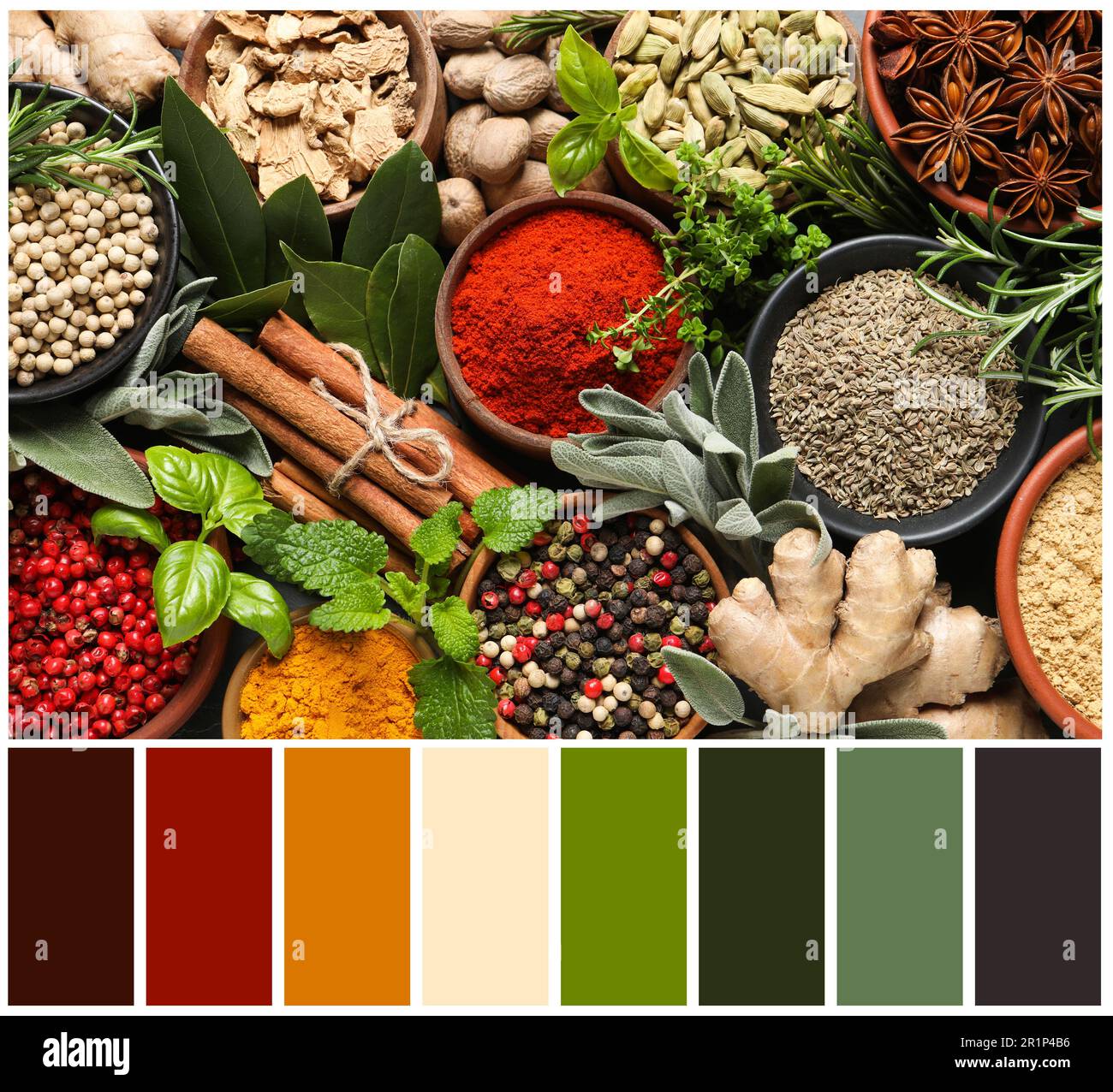 Fresh Herbs And Spices