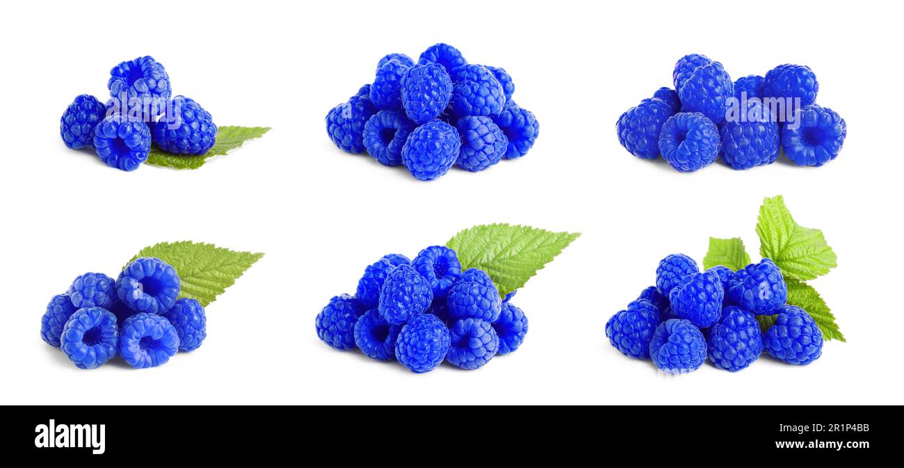 Set with fresh tasty blue raspberries on white background. Banner ...