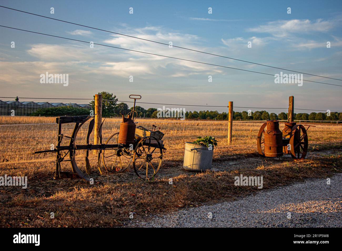 An old-style carriage in a rural field at sunset Stock Photo - Alamy