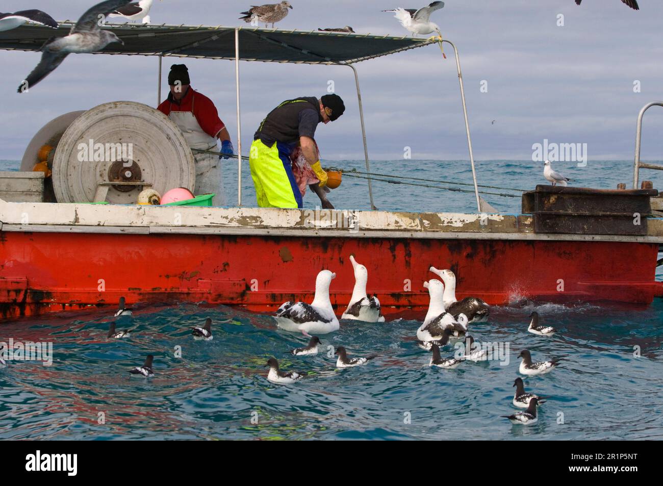 Wandering albatross fishing boat hi-res stock photography and images ...