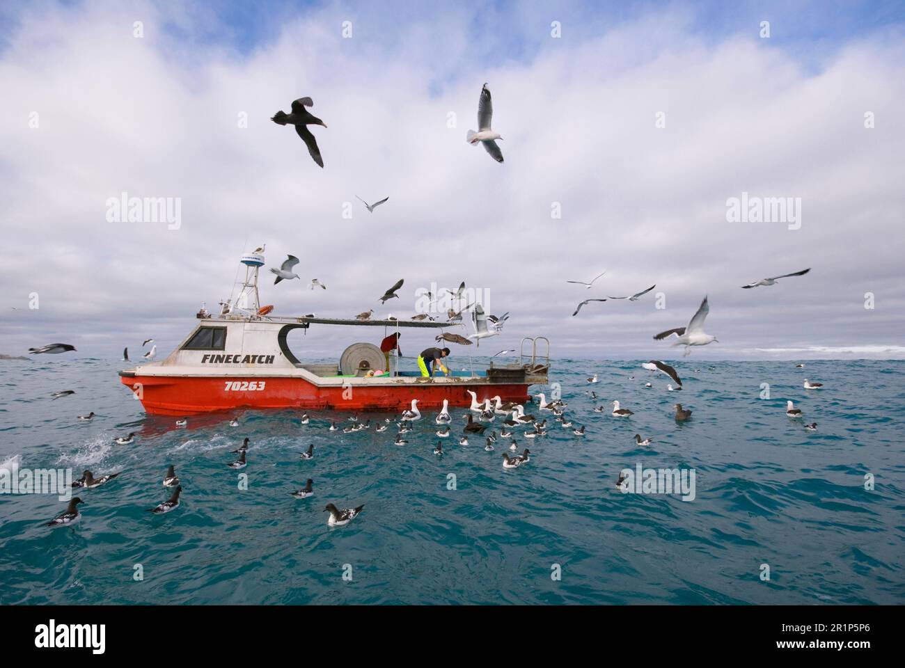Albatross fishing boat hi-res stock photography and images - Alamy