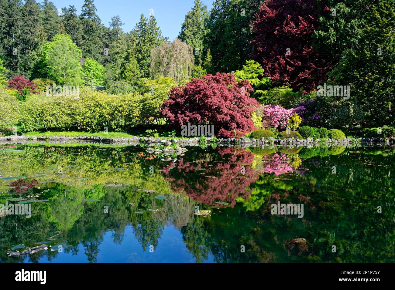 A Japanese Garden at Royal Roads University in Victoria, BC, Canada ...