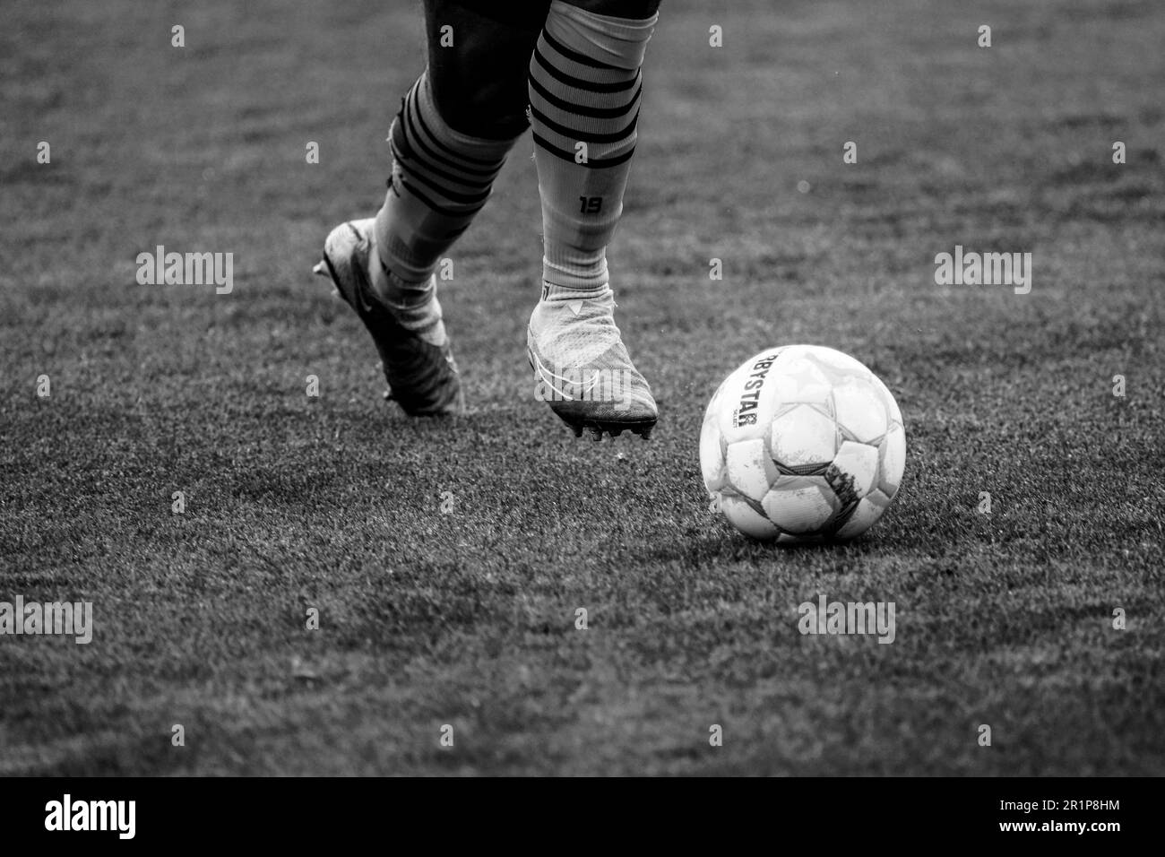 The Signal 2022 Legs