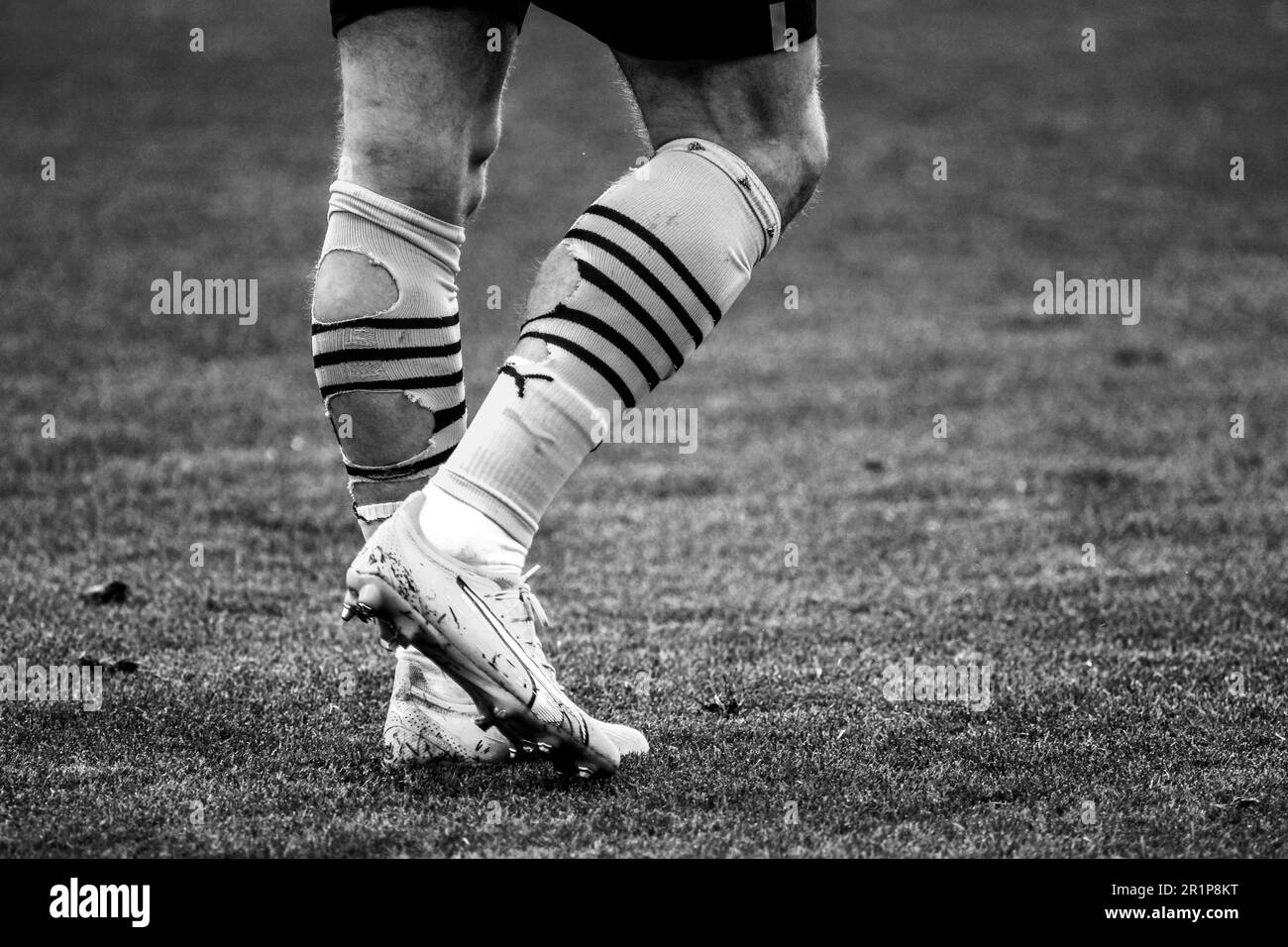 The Signal 2022 Legs