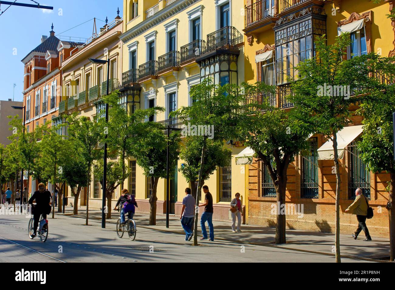 San Fernando Street, Seville (Seville), Andalusia, Spain Stock Photo ...