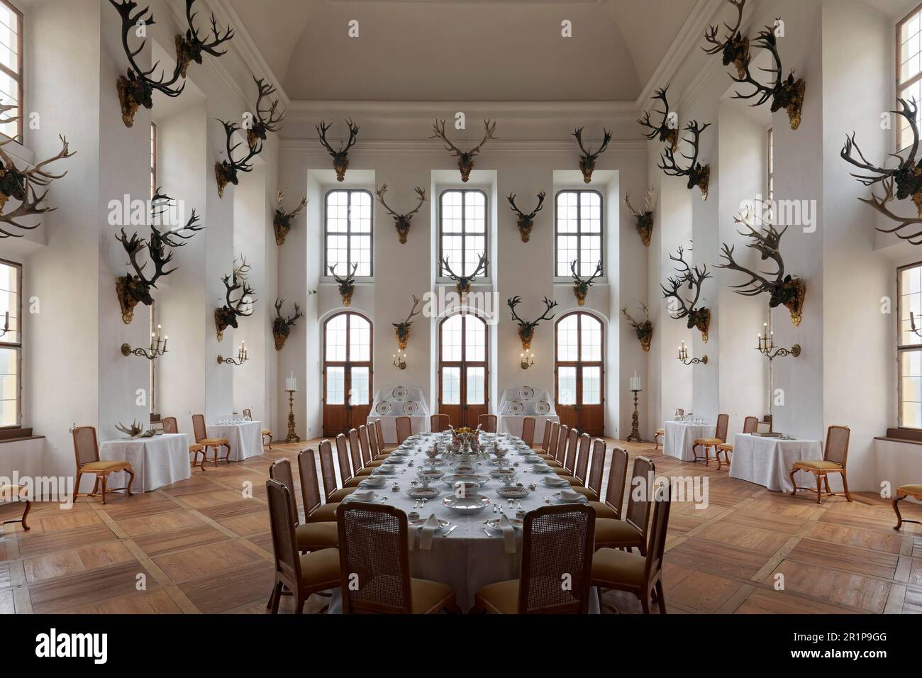 Moritzburg Castle, historical dining room, trophy collection with deer ...