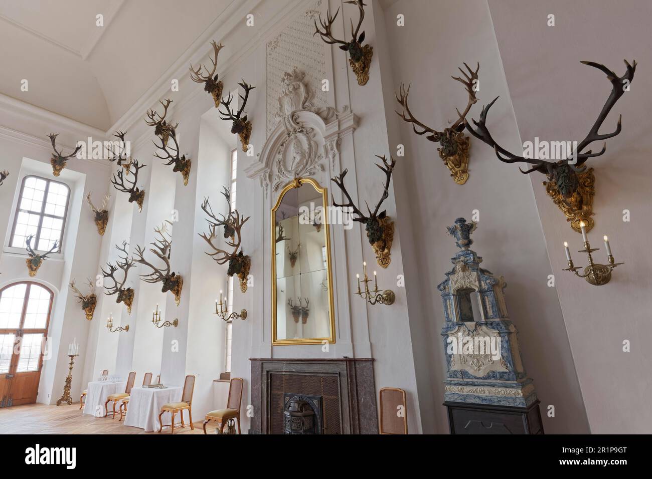Moritzburg Castle, historical dining room, trophy collection with deer ...