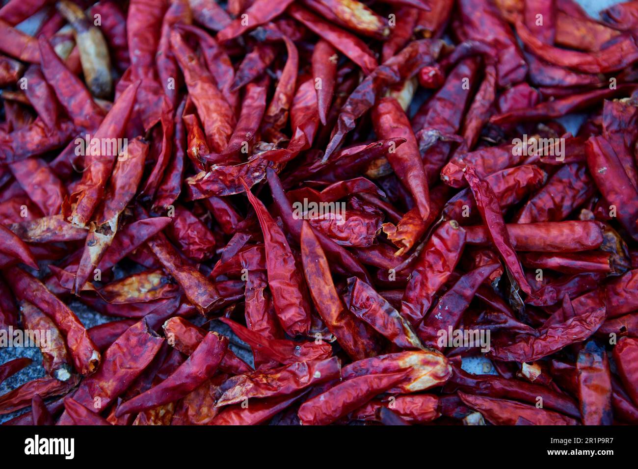 Dried red hot chili pepper Stock Photo - Alamy