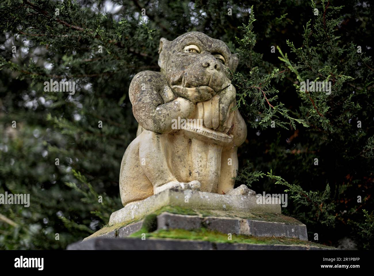 Gargoyle figure of stone animal as a home gate entrance. England Stock ...