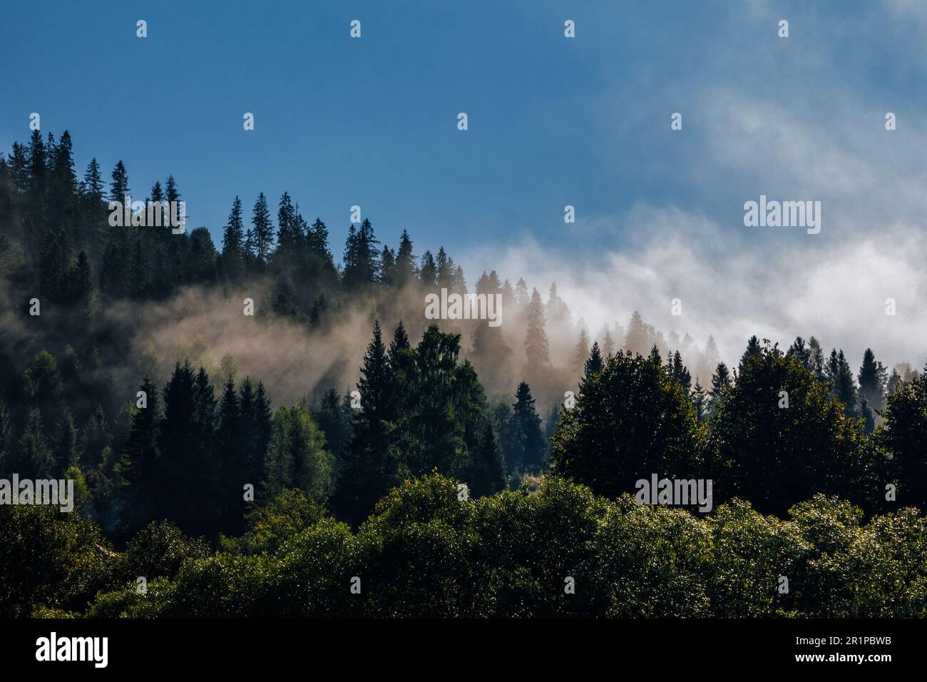 Beautiful summer landscape - mountain valley on a sunrise with fog ...