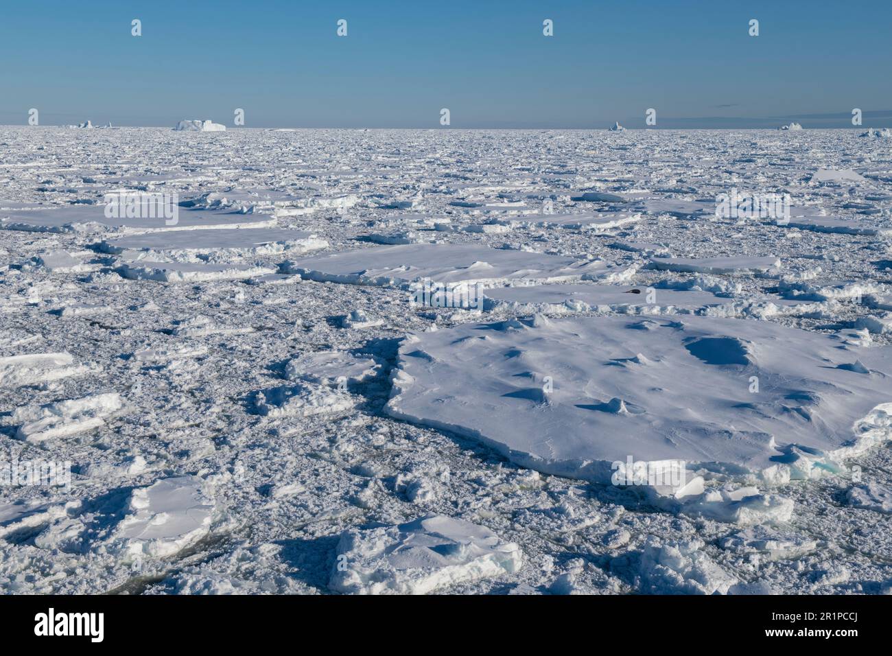 Antarctica, pack ice on the Amundsen Sea with iceberg in the distance ...