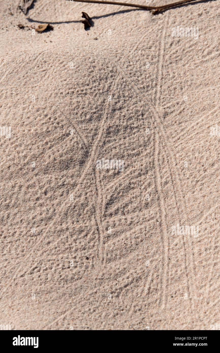 Western Australia, Buccaneer archipelago, Collier Bay, Freshwater Cove ...