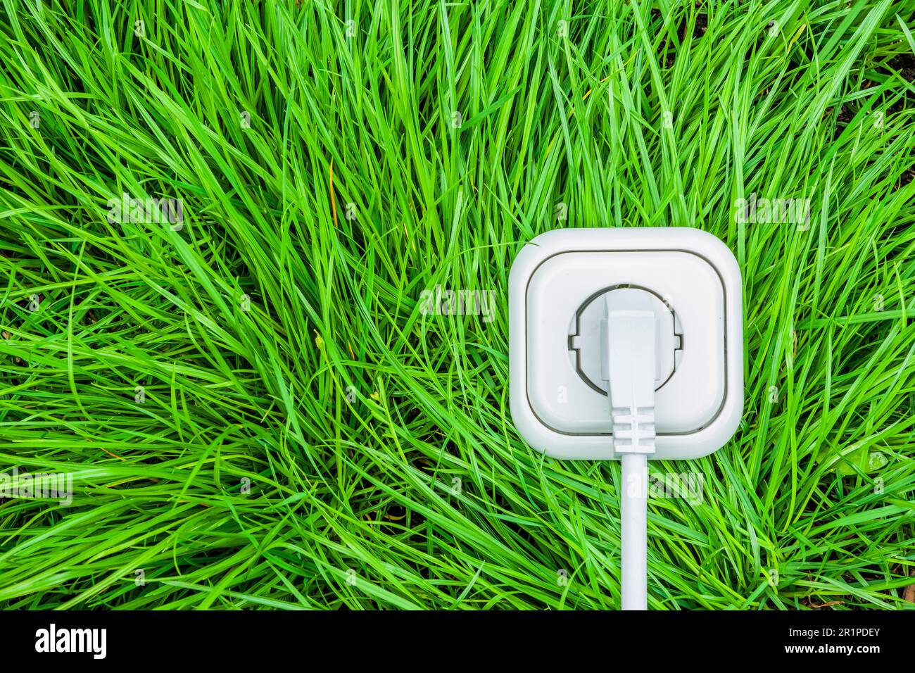 White socket with power plug and cable on green grass hi-res stock photography and images - Alamy