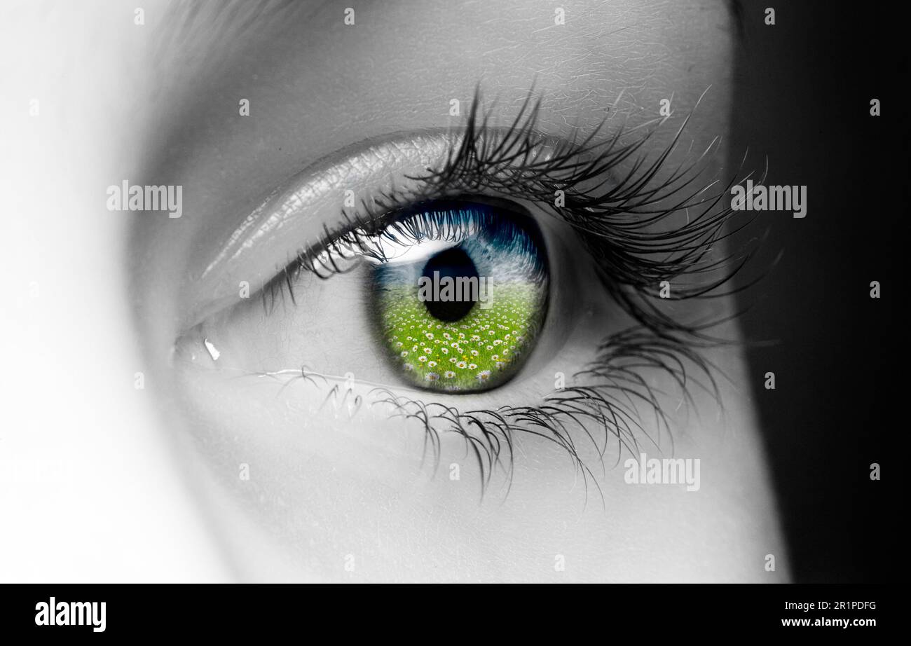 Reflection girl hi-res stock photography and images - Alamy