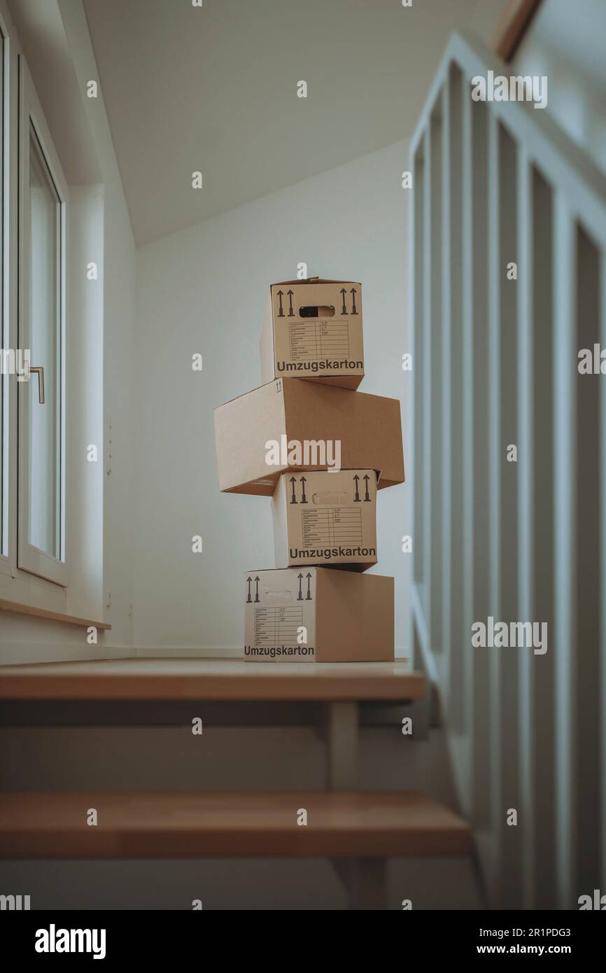 Moving boxes in the new apartment Stock Photo - Alamy
