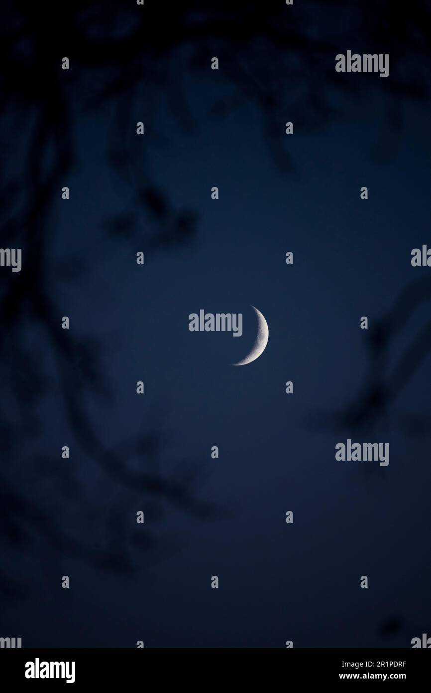 Sickle moon in forest hi-res stock photography and images - Alamy