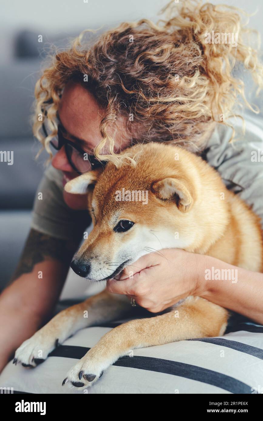 Shiba inu cuddle hi-res stock photography and images - Alamy