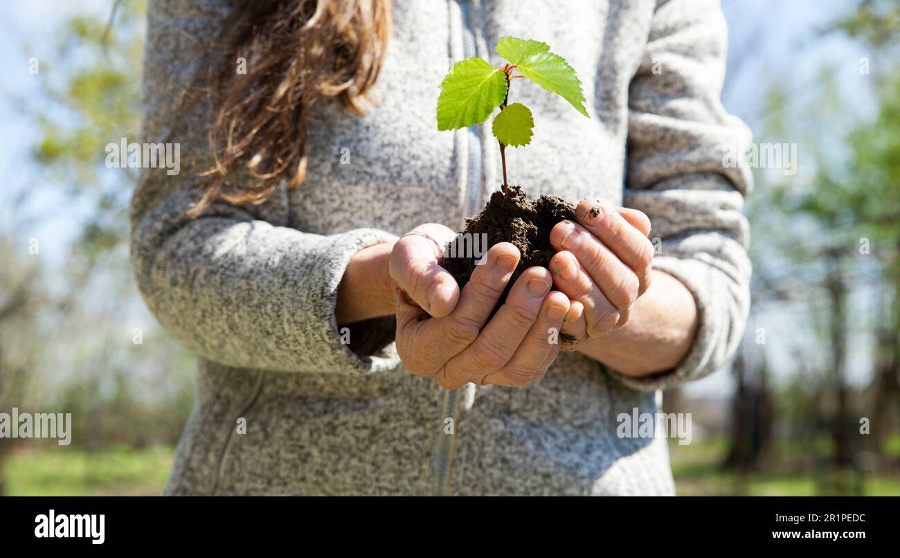 Woman up in a tree hi-res stock photography and images - Alamy