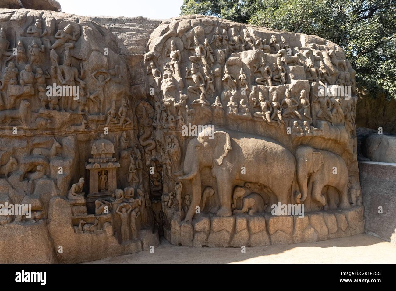 India, Mahabalipuram 22 January 2023: Descent of the Ganges: A giant o ...