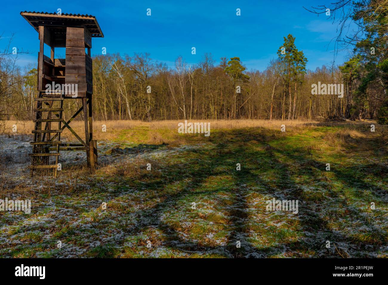 Stand wood hi-res stock photography and images - Alamy
