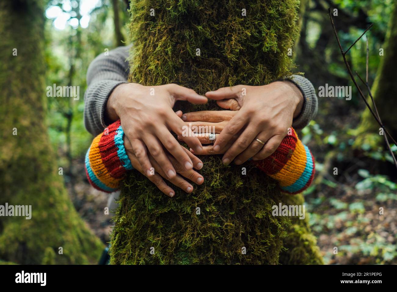 Couple man and woman hugging and embracing green trunk tree in the ...