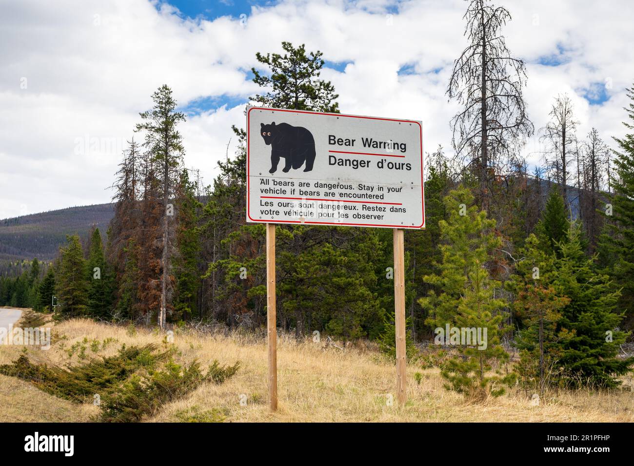 Bear country sign hi-res stock photography and images - Alamy