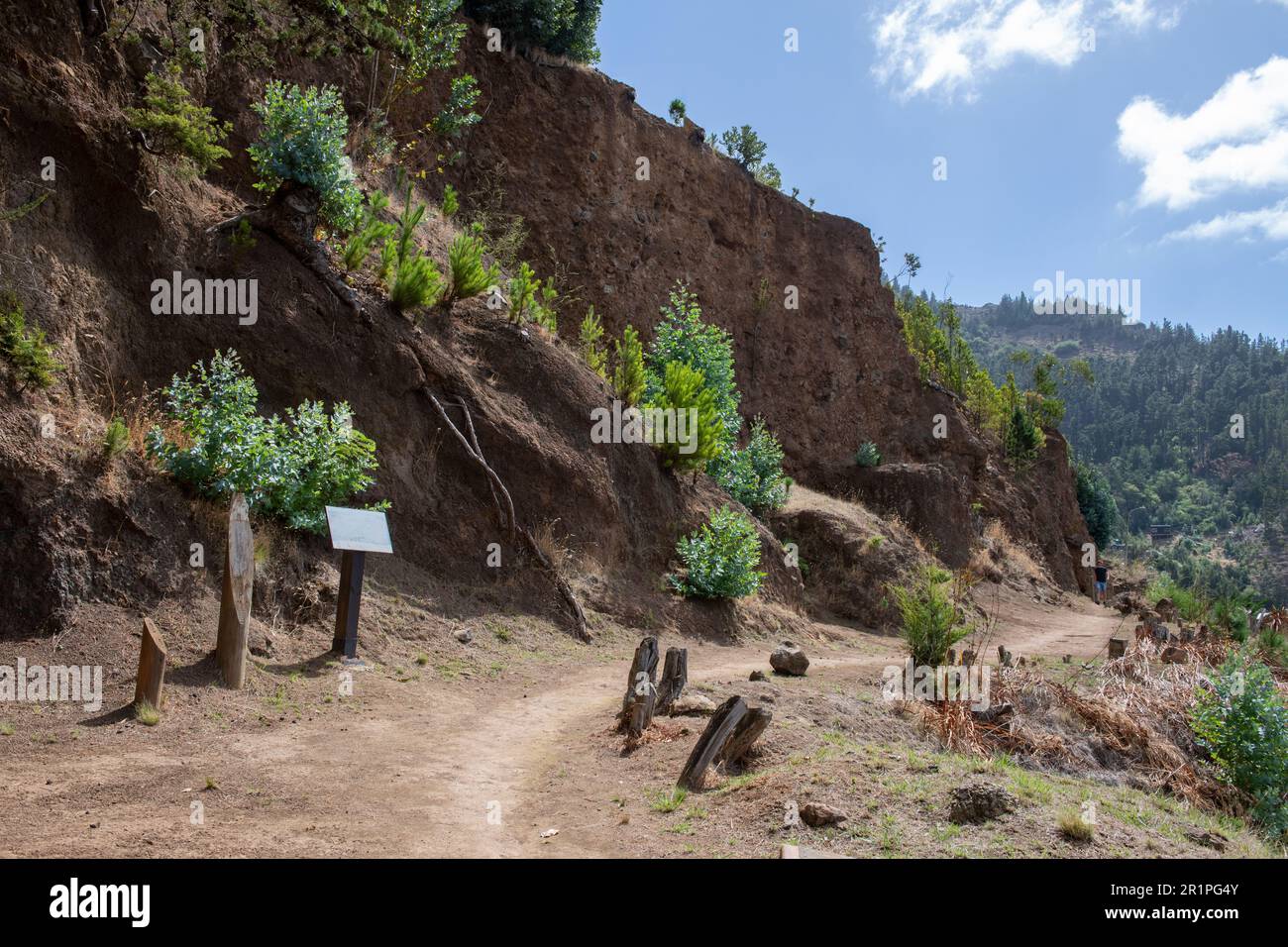 Chile, Juan Fernandez Archipelago, Robinson Crusoe Island, Cumberland ...
