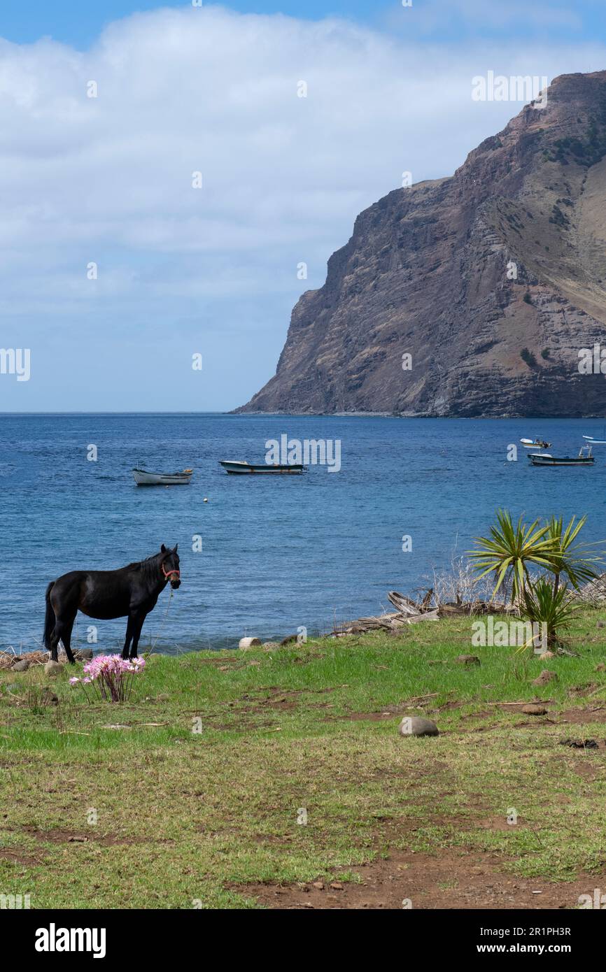 Chile Juan Fernandez Archipelago Robinson Crusoe Island Cumberland