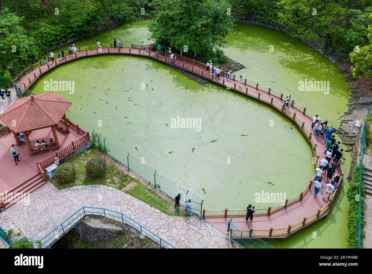 XUANCHENG, CHINA - MAY 2, 2023 - Tourists visit the crocodile viewing ...