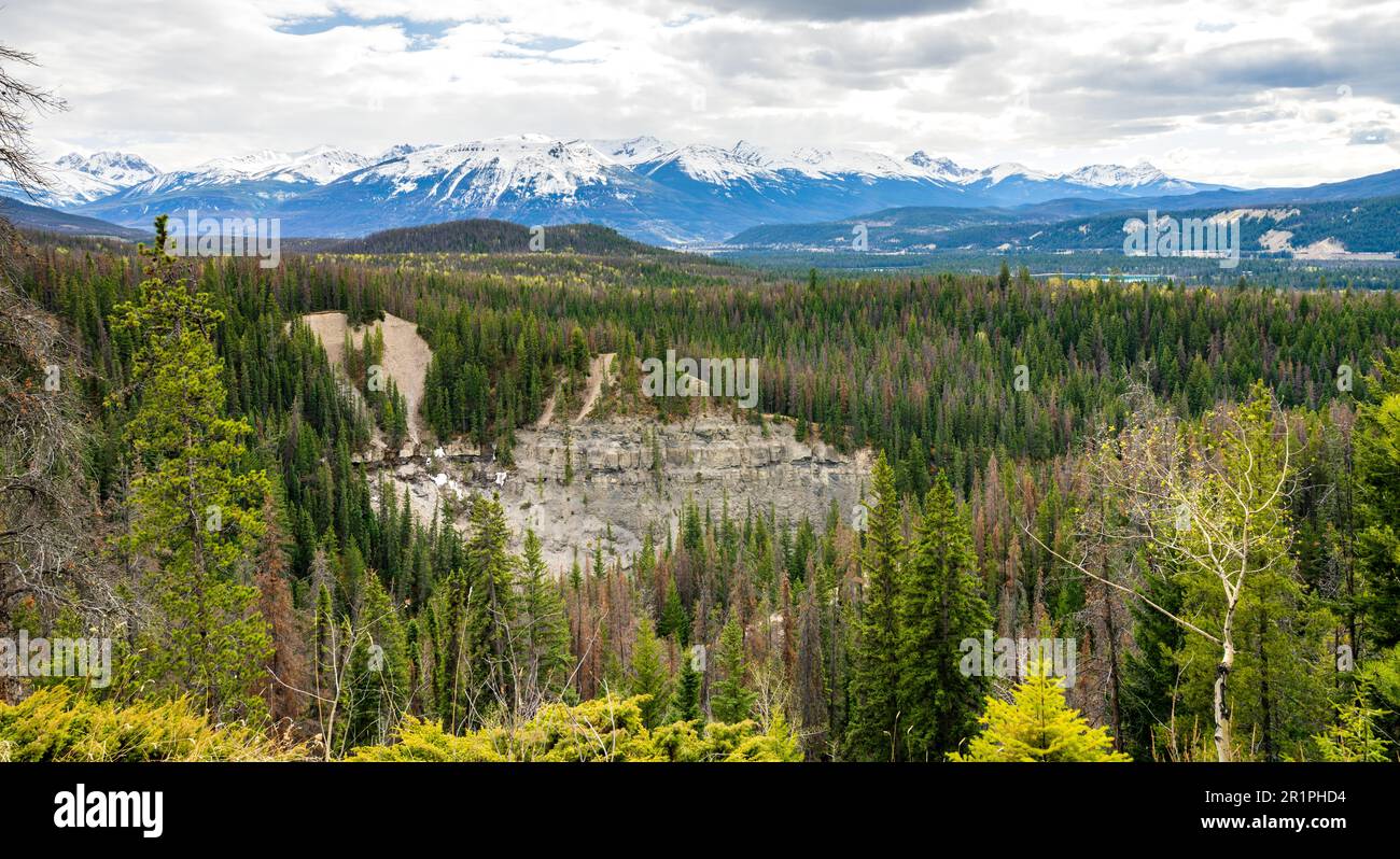 Maligne Overlook viewpoint in summer. Jasper National Park, Alberta ...