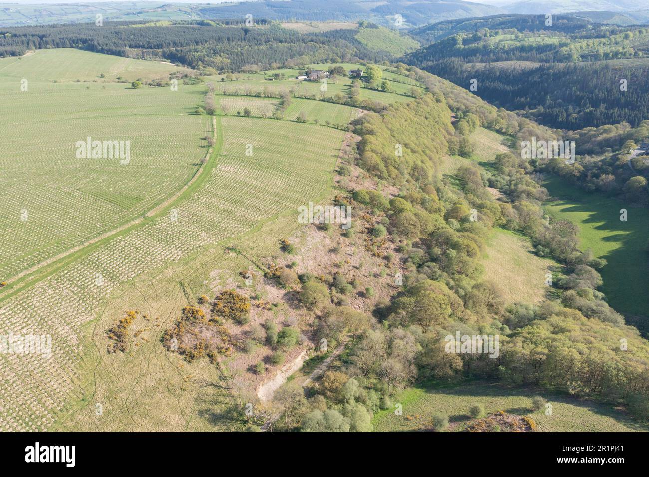 Aerial view of upland Banc farm in The Brechfa Forest one year after it ...