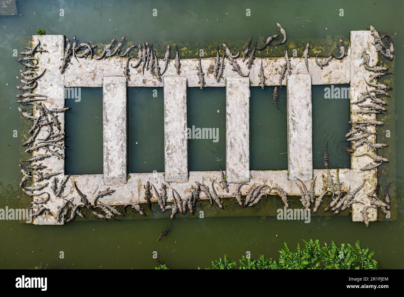 XUANCHENG, CHINA - MAY 2, 2023 - Aerial photo shows the alligator ...