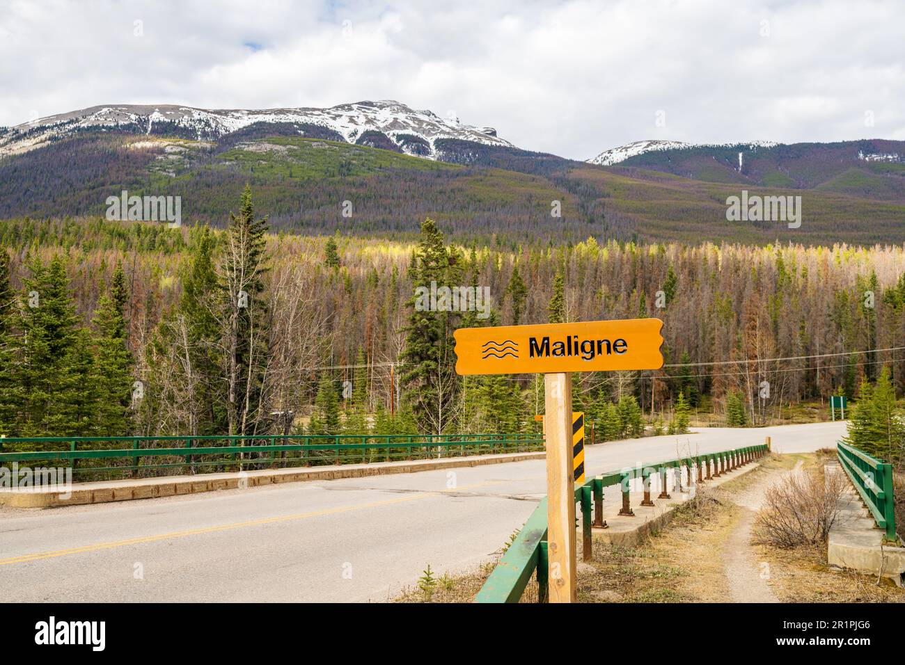 Maligne River Road Sign. Jasper National Park. Alberta, Canada Stock ...